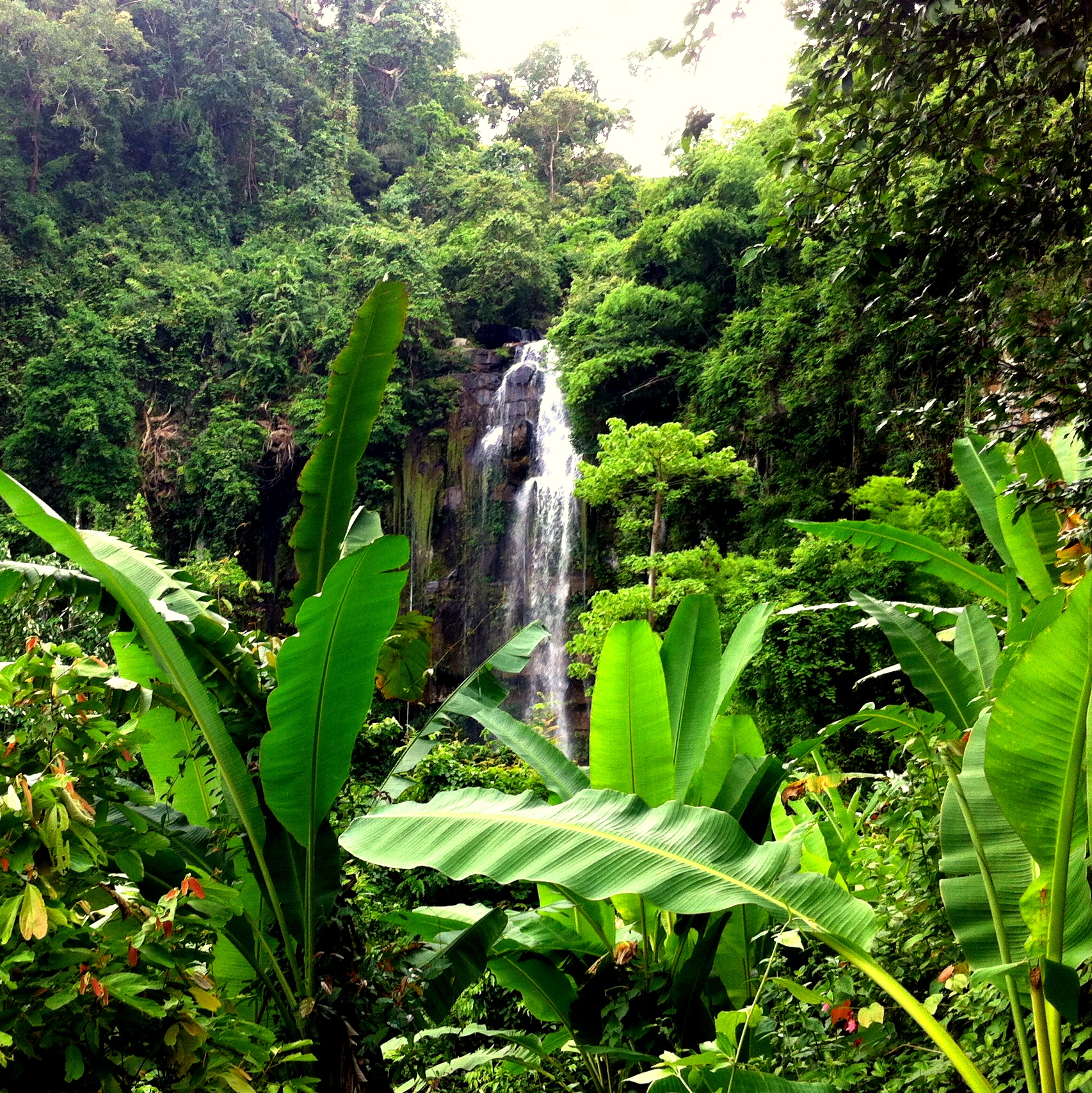 Give | Jonathan & Elizabeth Trotter